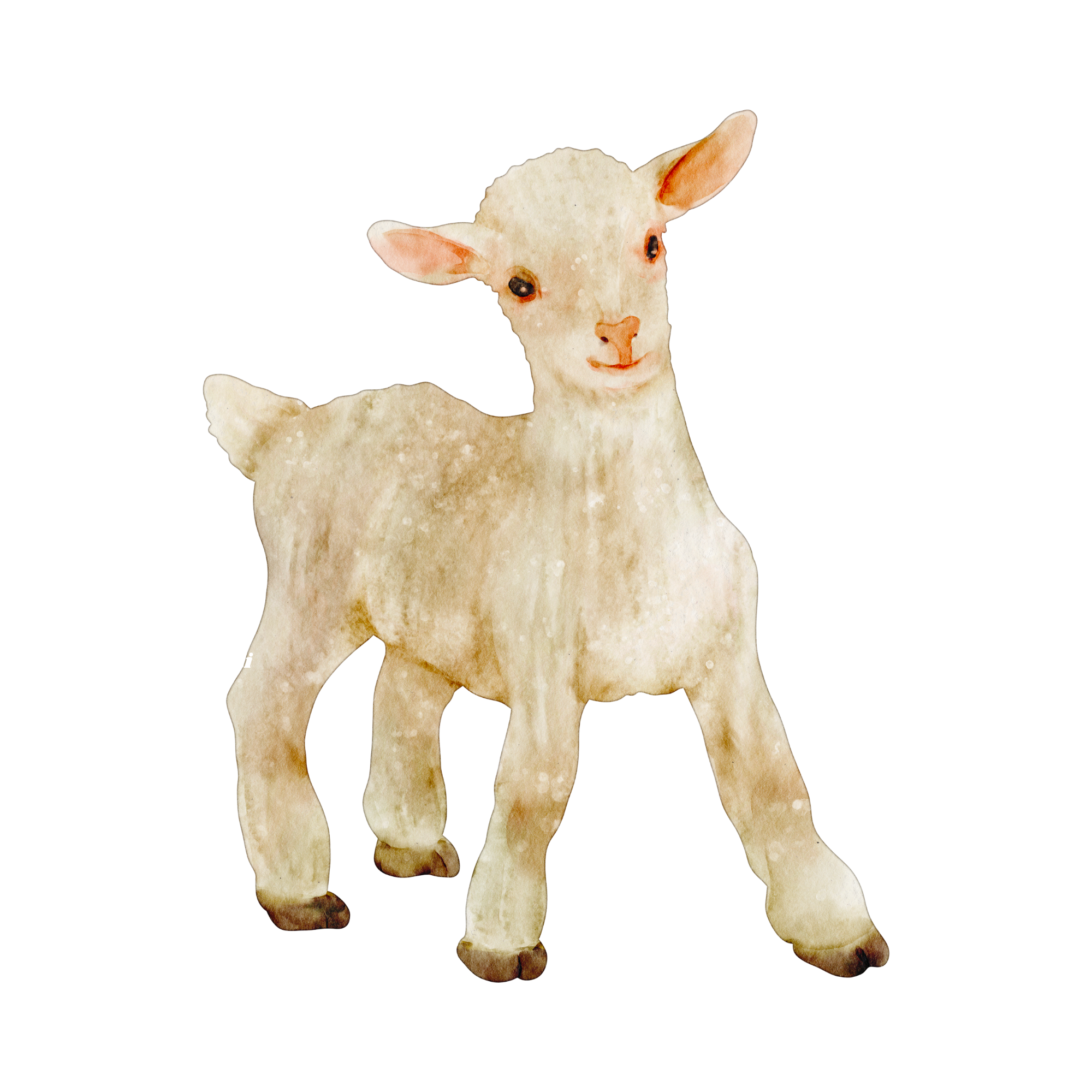 Field Trips — Country Critters Farm