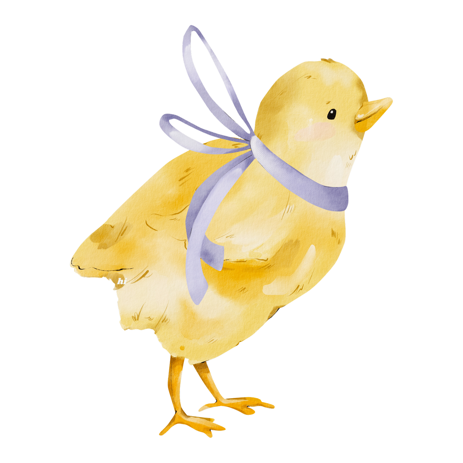 Country Critters Farm