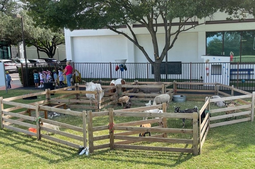 Travel to You Services — Country Critters Farm