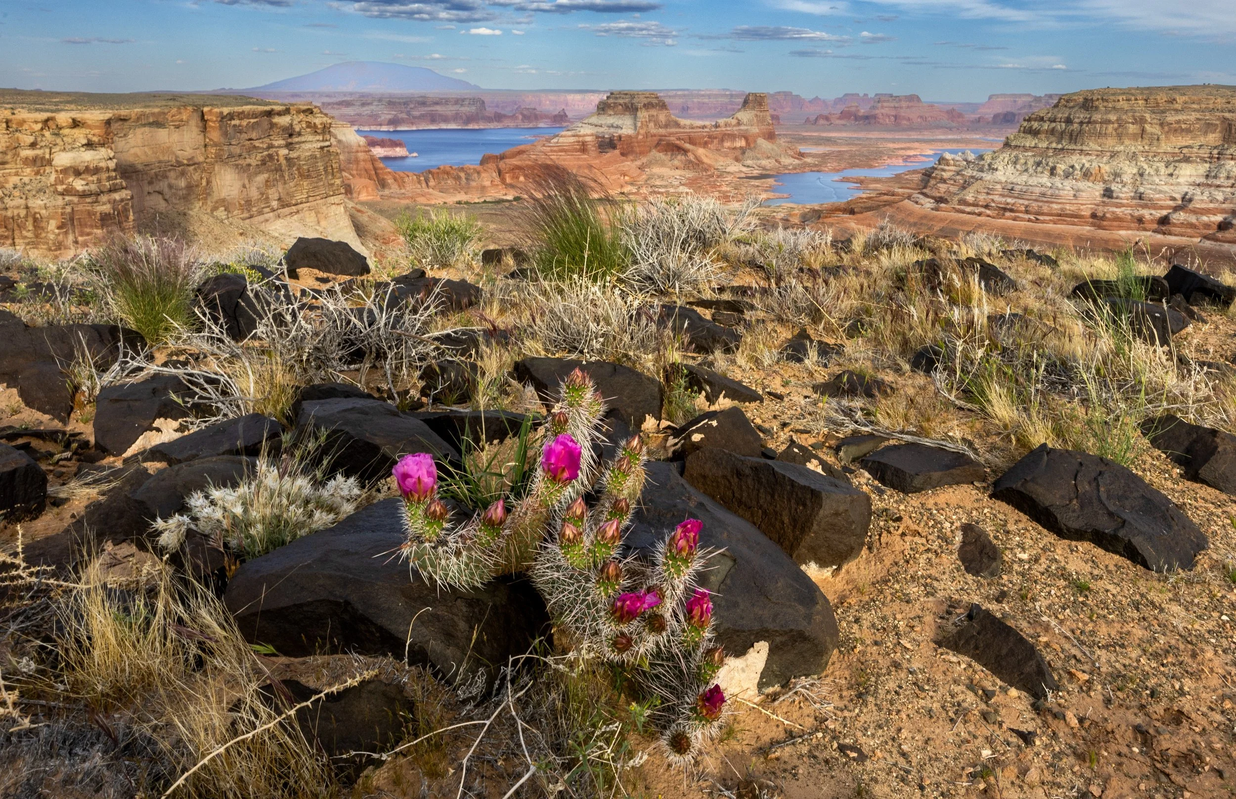 Allan Duff Photography Adventures