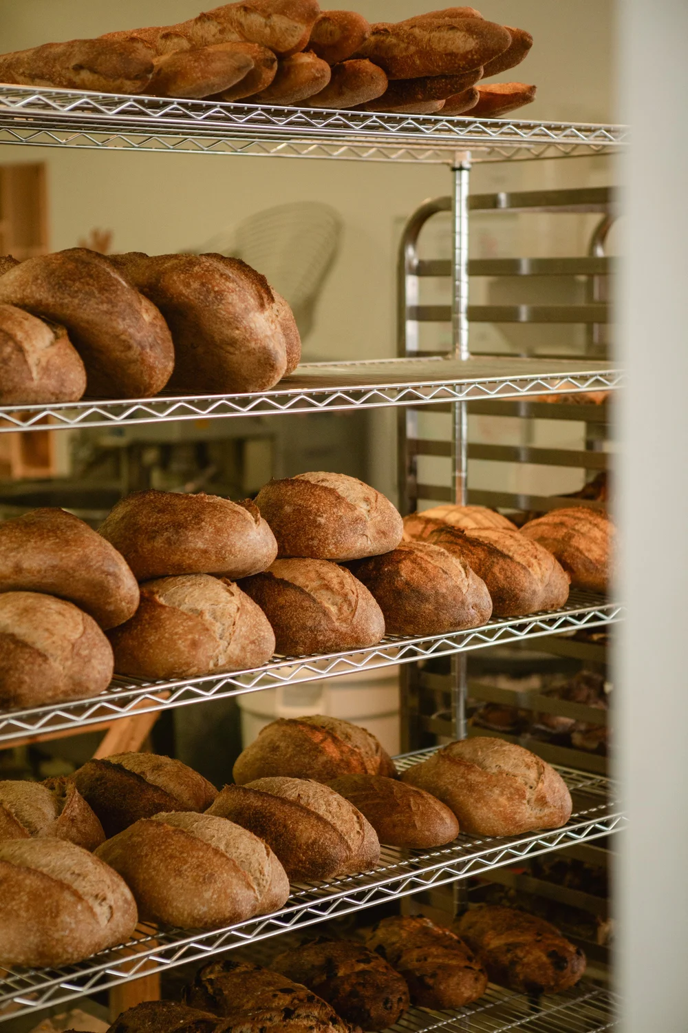 Provision Bread & Bakery