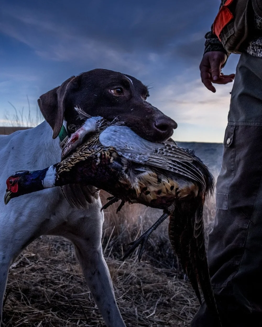 Premiere Hunting in Pendleton Oregon | Horseshoe Curve Outdoors