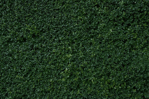 Greensource Brand Apparel