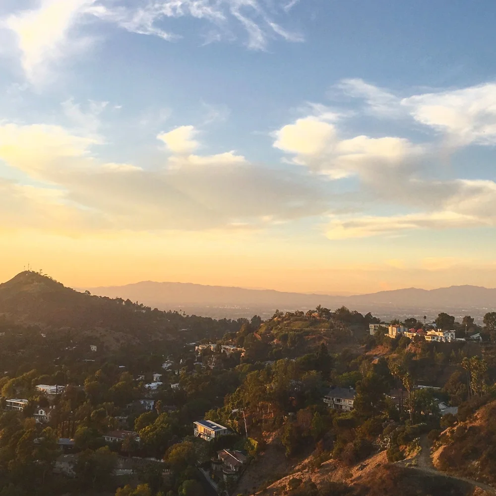 James Dvorak Therapy