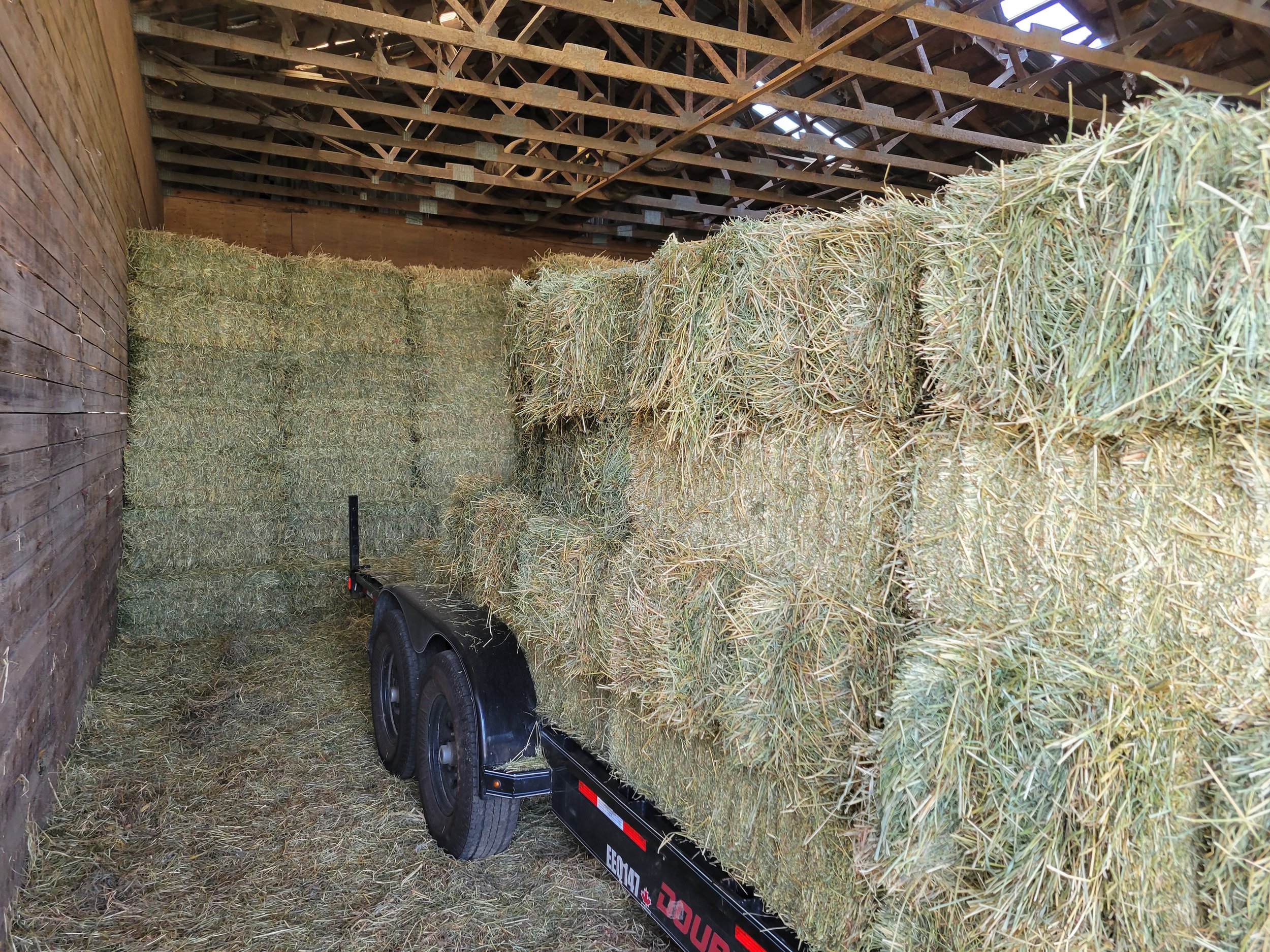 Store — Mainland Hay Sales