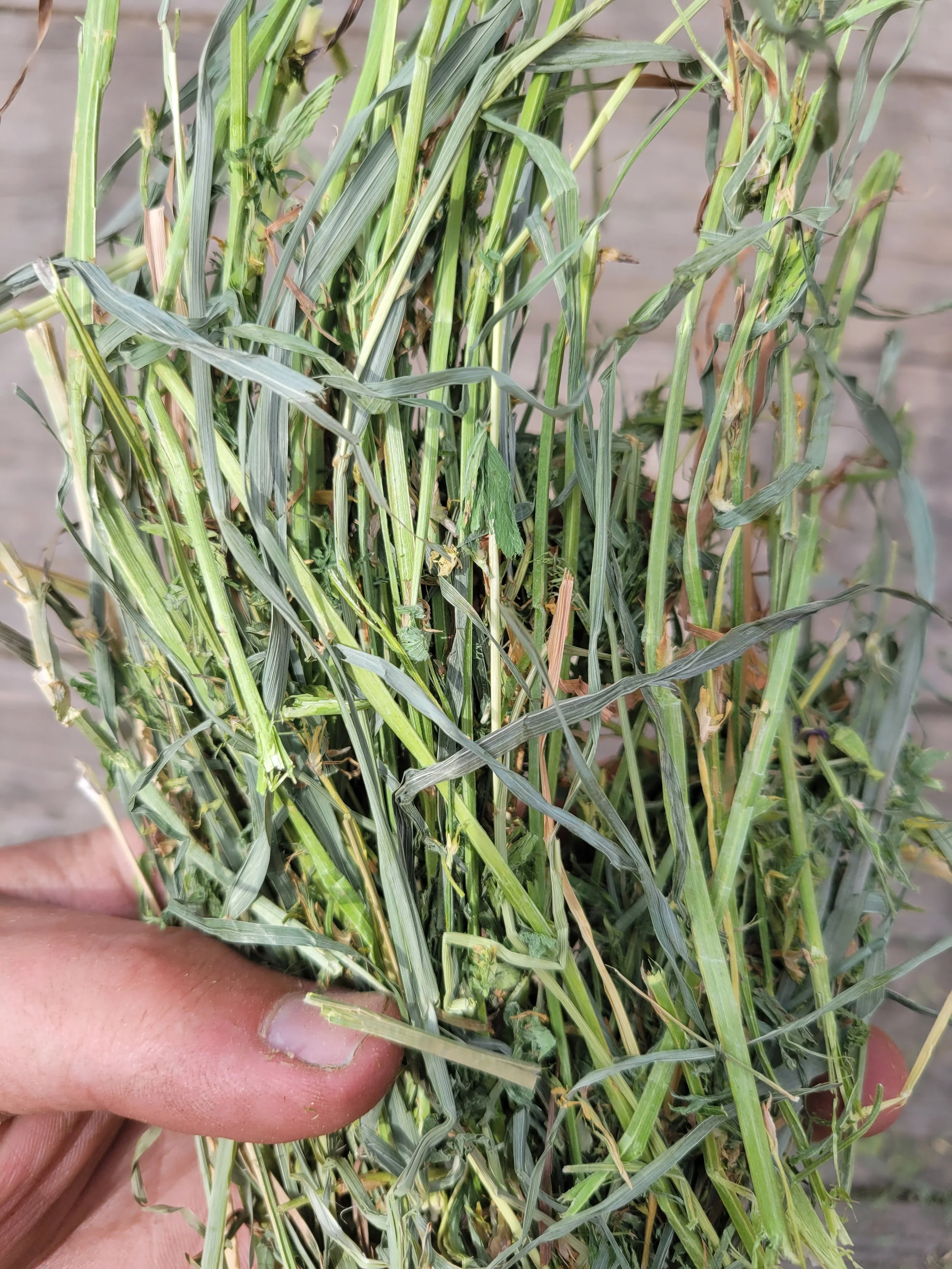 Store — Mainland Hay Sales