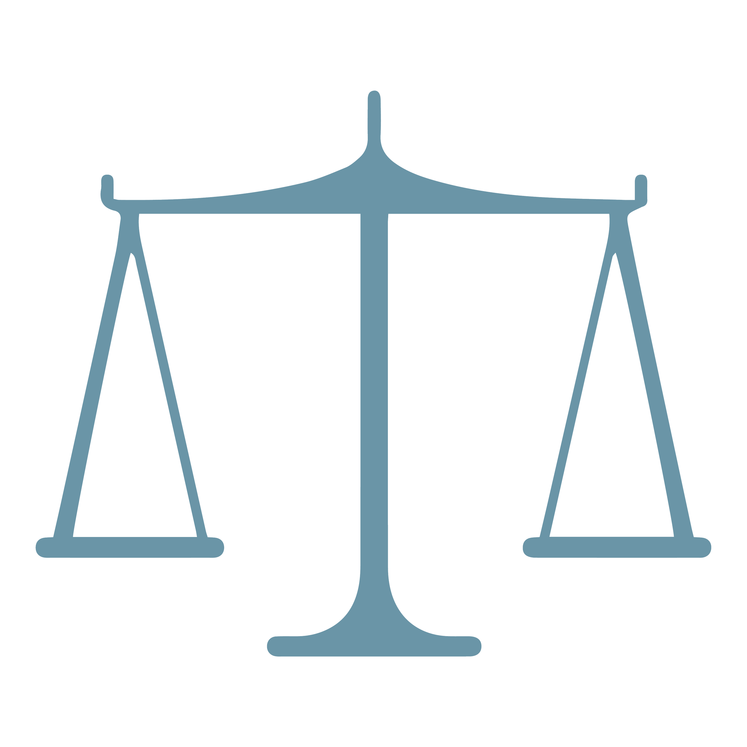 Rees Law Firm | New Orleans Injury Attorney