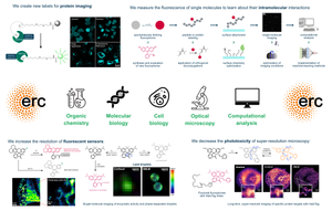 Research — Laboratory of Chemical and Biological Probes