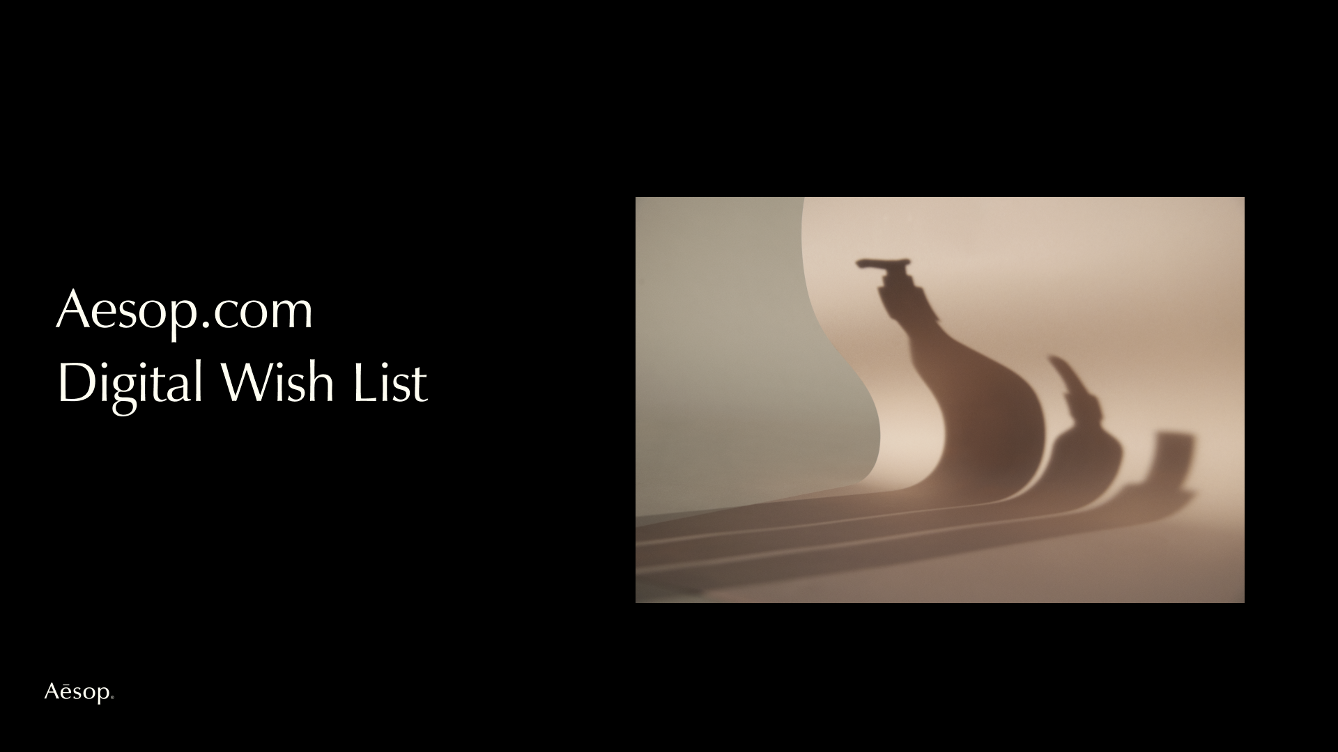 Digital wish list project — Liz Ricketson.