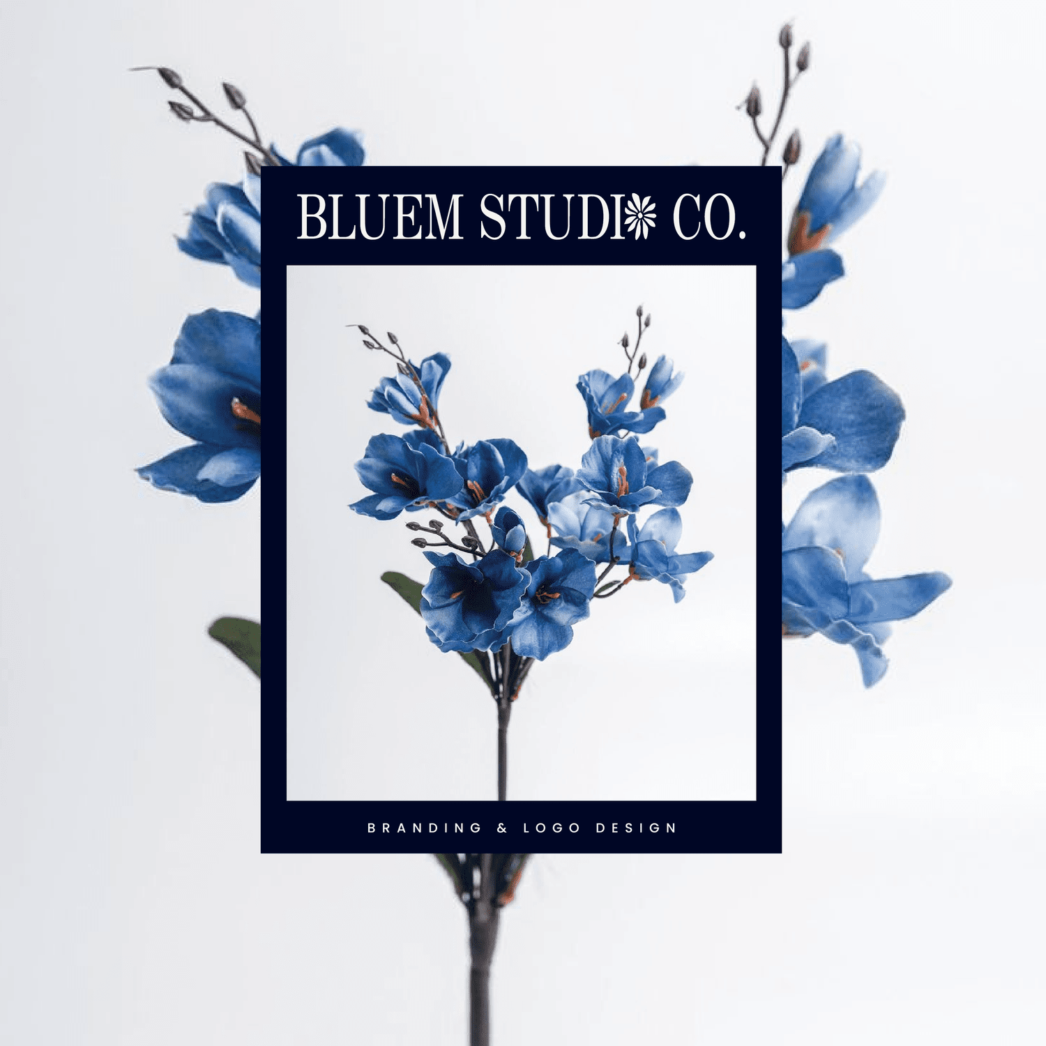 bluem studio co