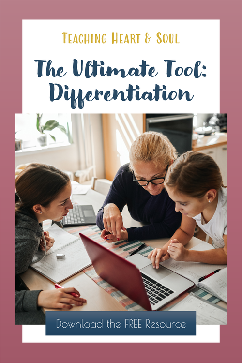Differentiated Instruction Strategies: 41 Ways to Differentiate Your ...