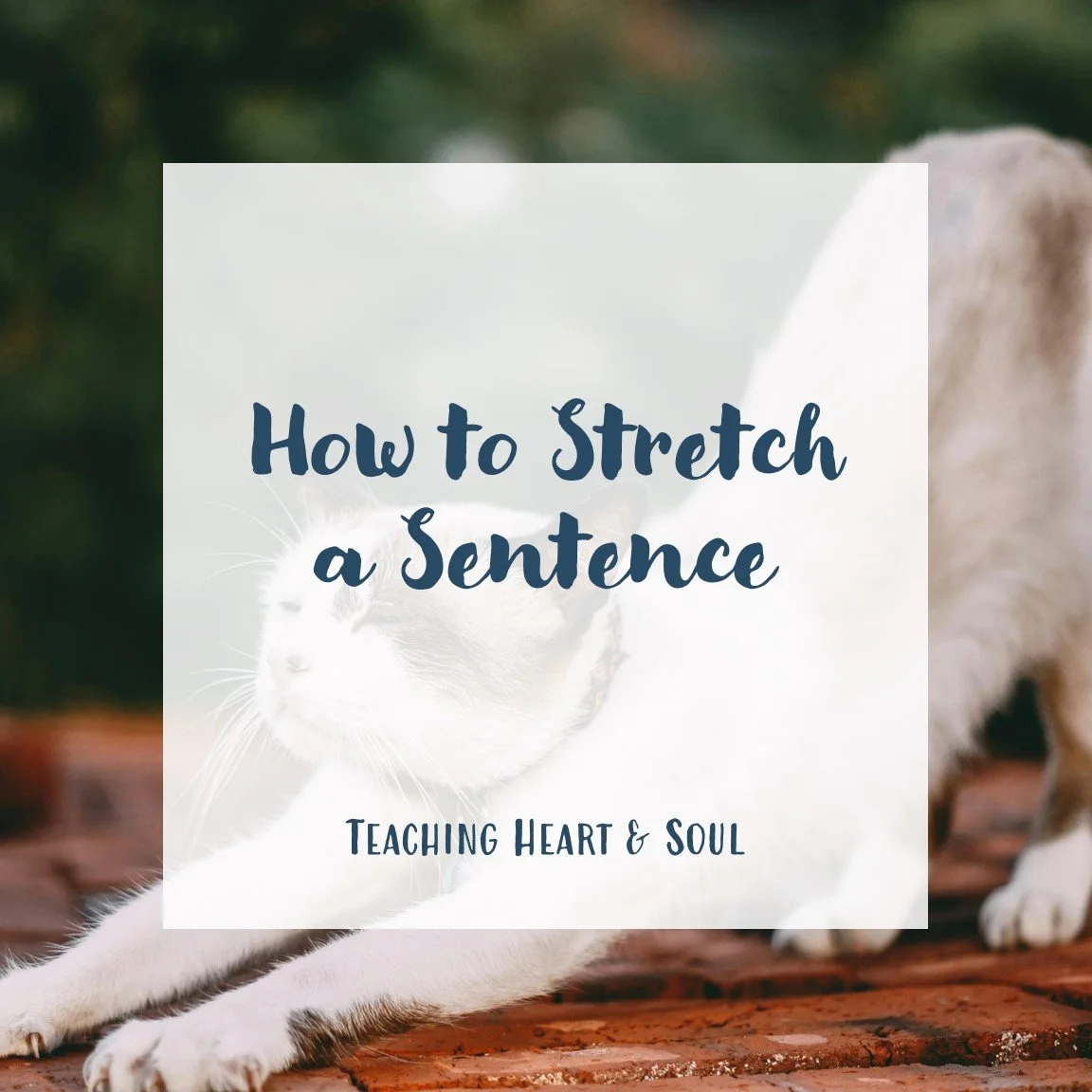 Blog — Teaching Heart & Soul