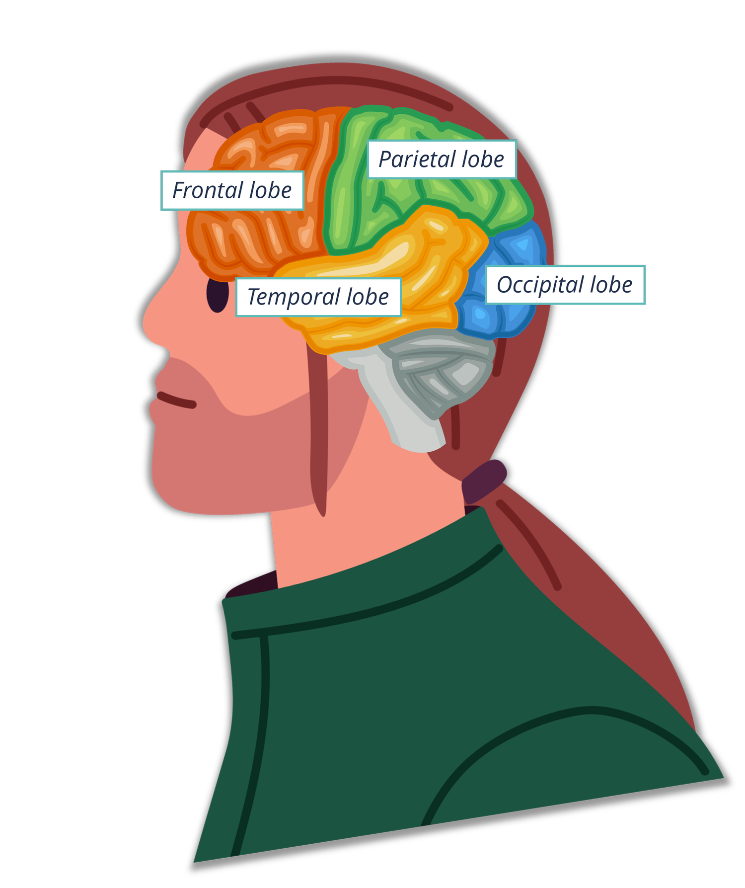 Mayer’s 12 Principles of Multimedia Learning, Part 1: Reducing ...