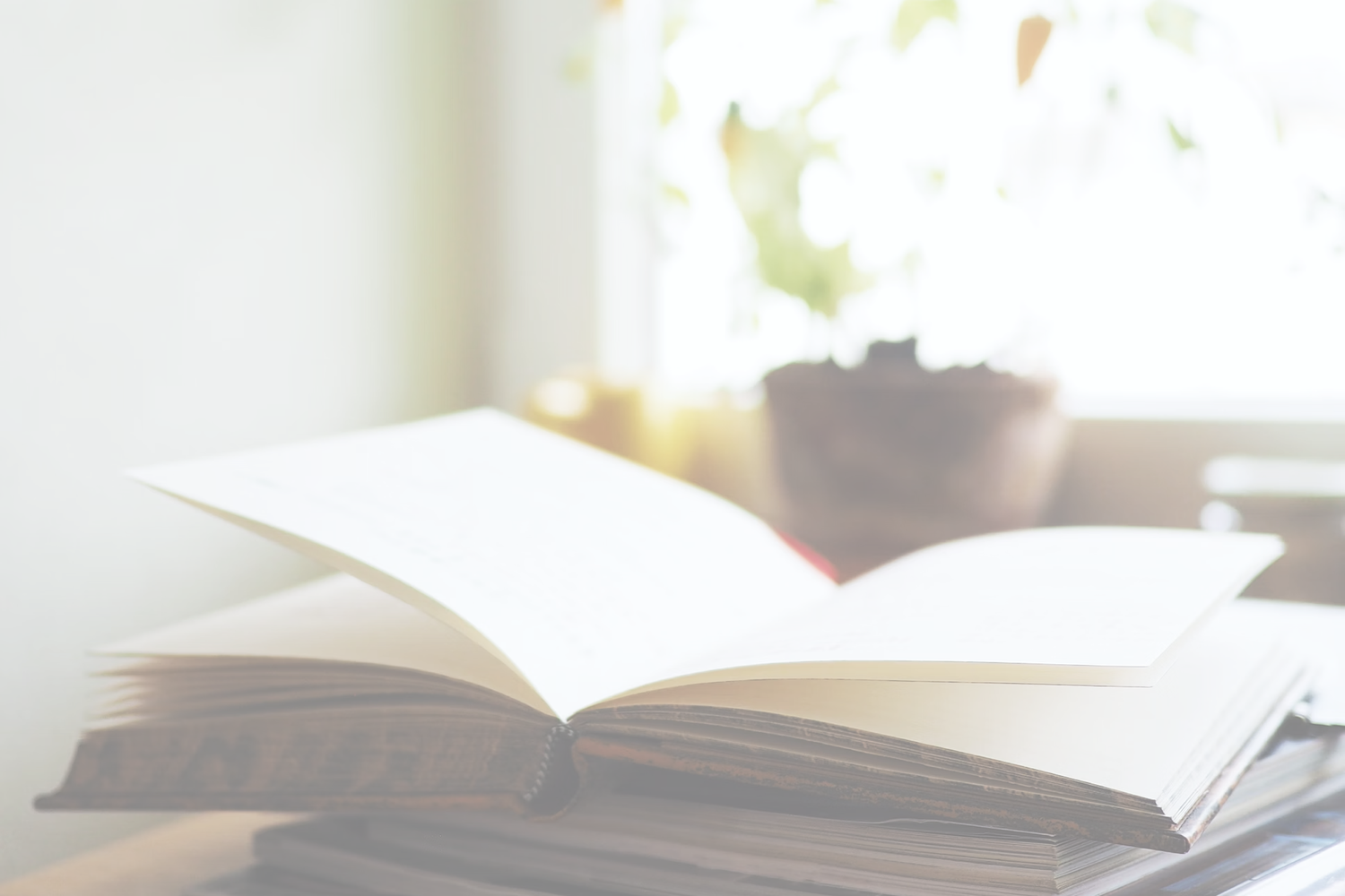 FREE RACE Strategy Posters — Teaching Heart & Soul