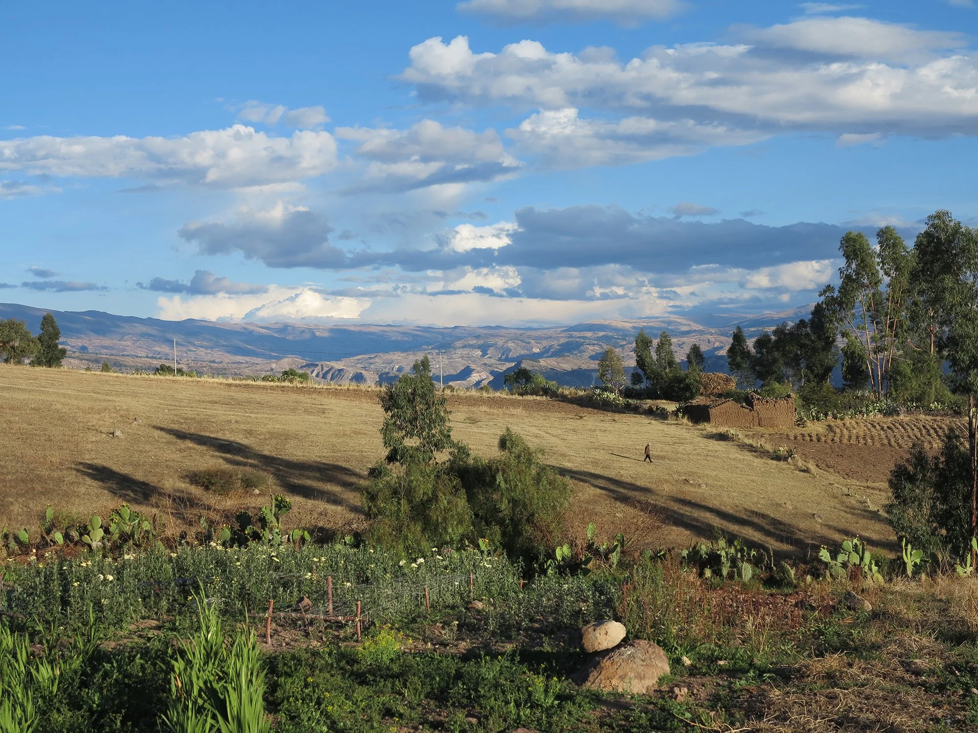 About Us — Kinua Yarns