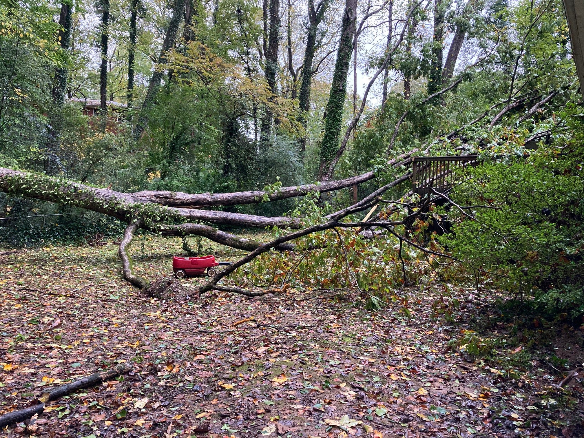 Longview Tree Company