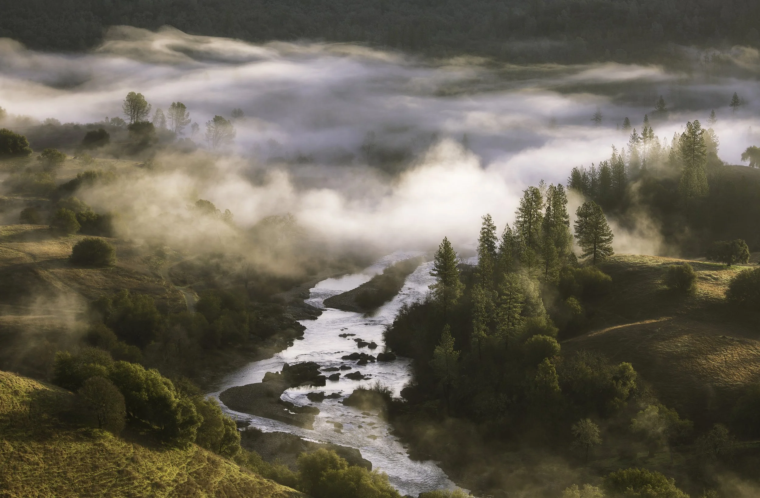Q&A With Laura Ashburn Photography — Headwaters Magazine