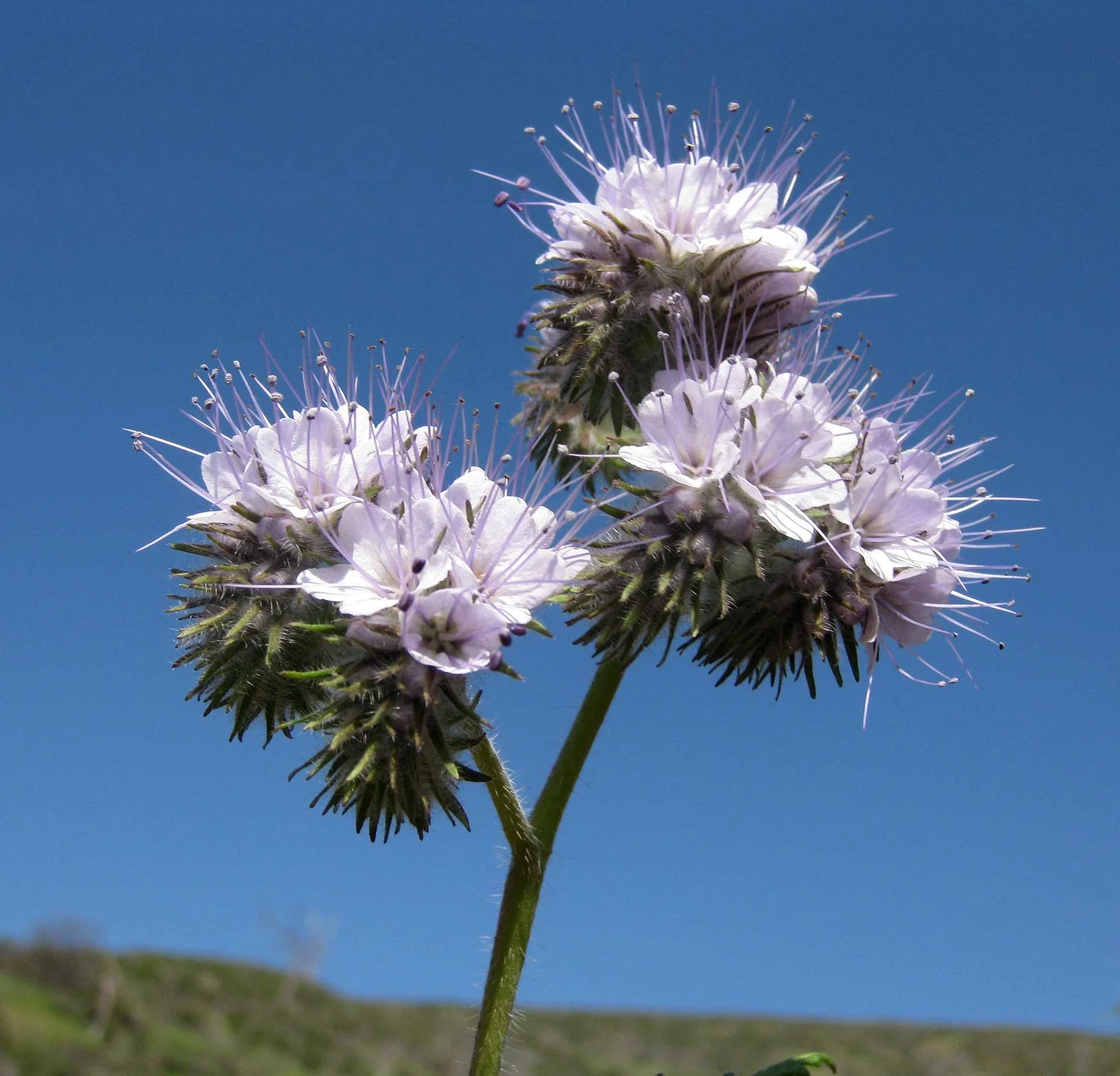 Sites Reservoir in FOR’s Sights — Headwaters Magazine