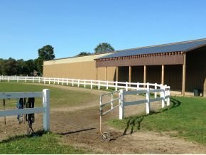 Photo Gallery — Aspen East Stables
