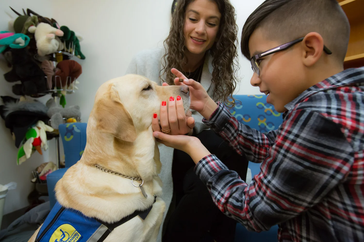 How to Get Help — CARES Northwest