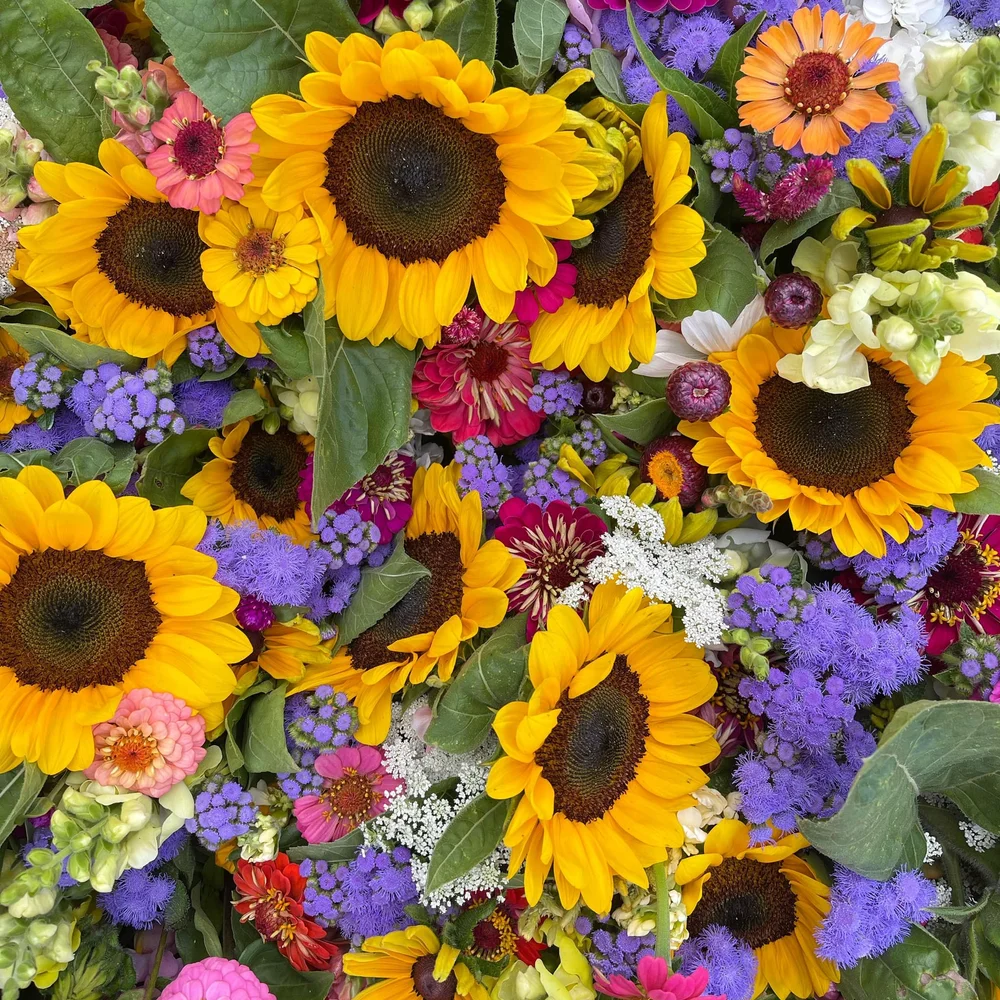 Seasons at the Farm Stand — Andrews Family Farm