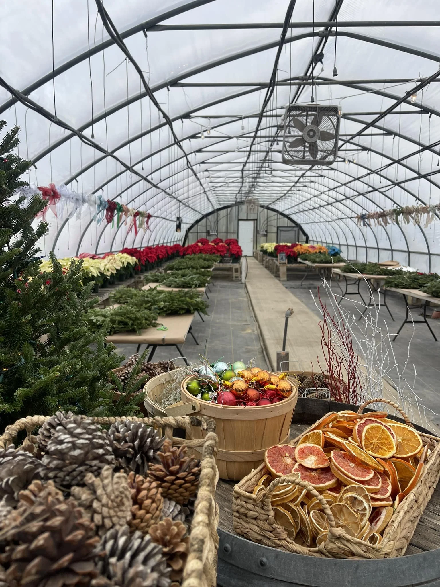 Workshops — Andrews Family Farm