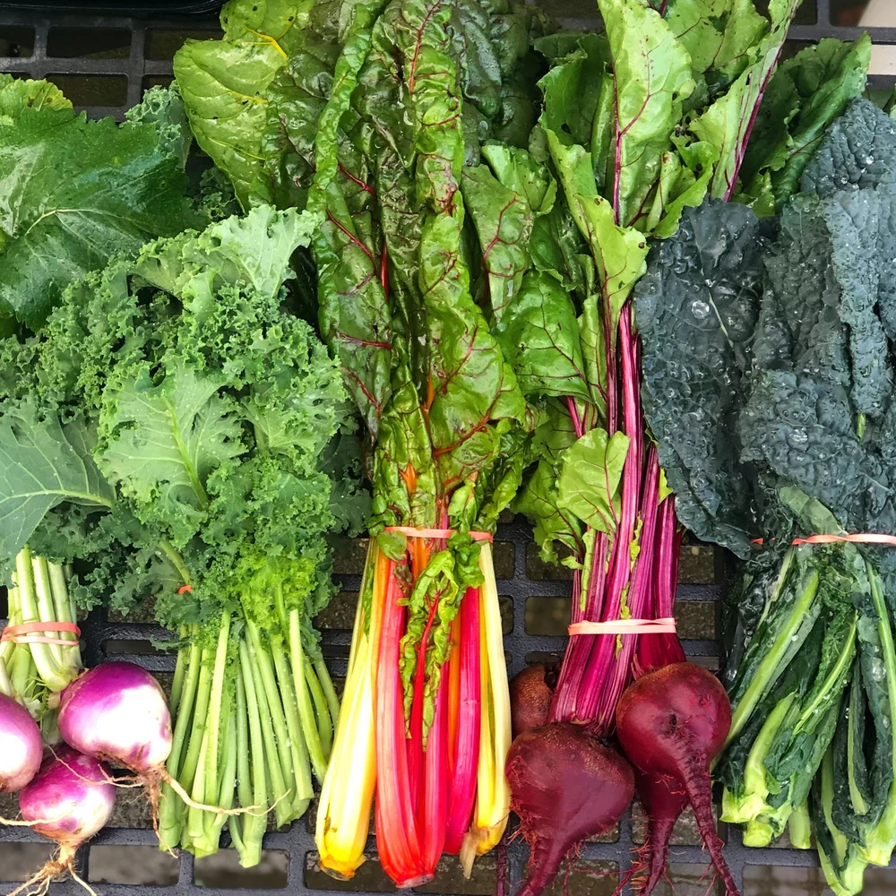 Seasons at the Farm Stand — Andrews Family Farm