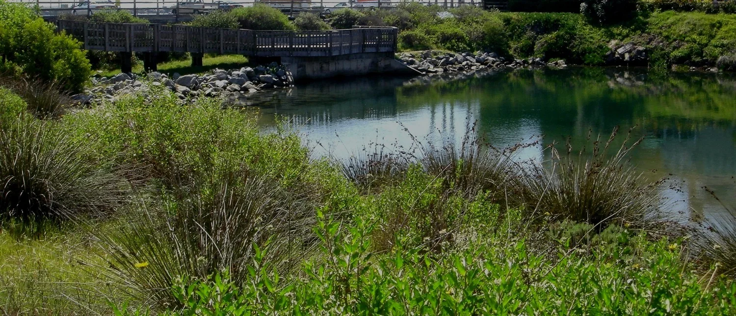 Bayside EC (2023)