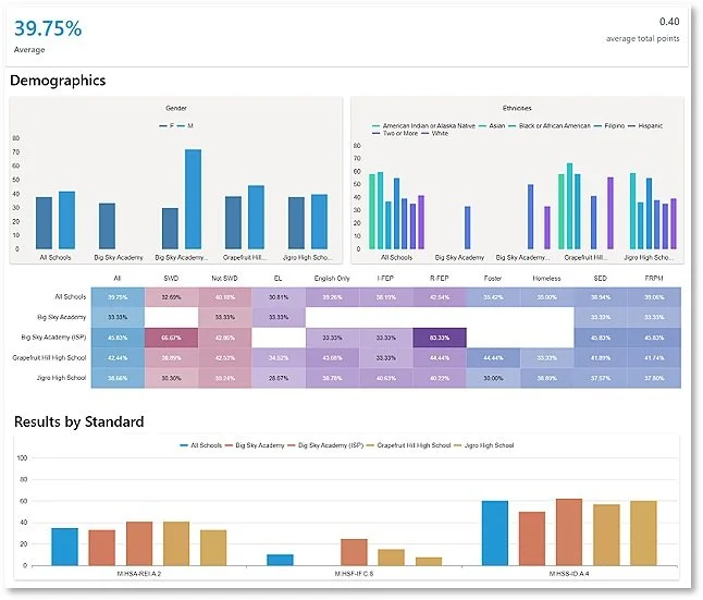 Data Analysis & Reporting — Viridian Education