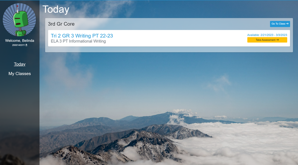 VAST Assessment — Viridian Education