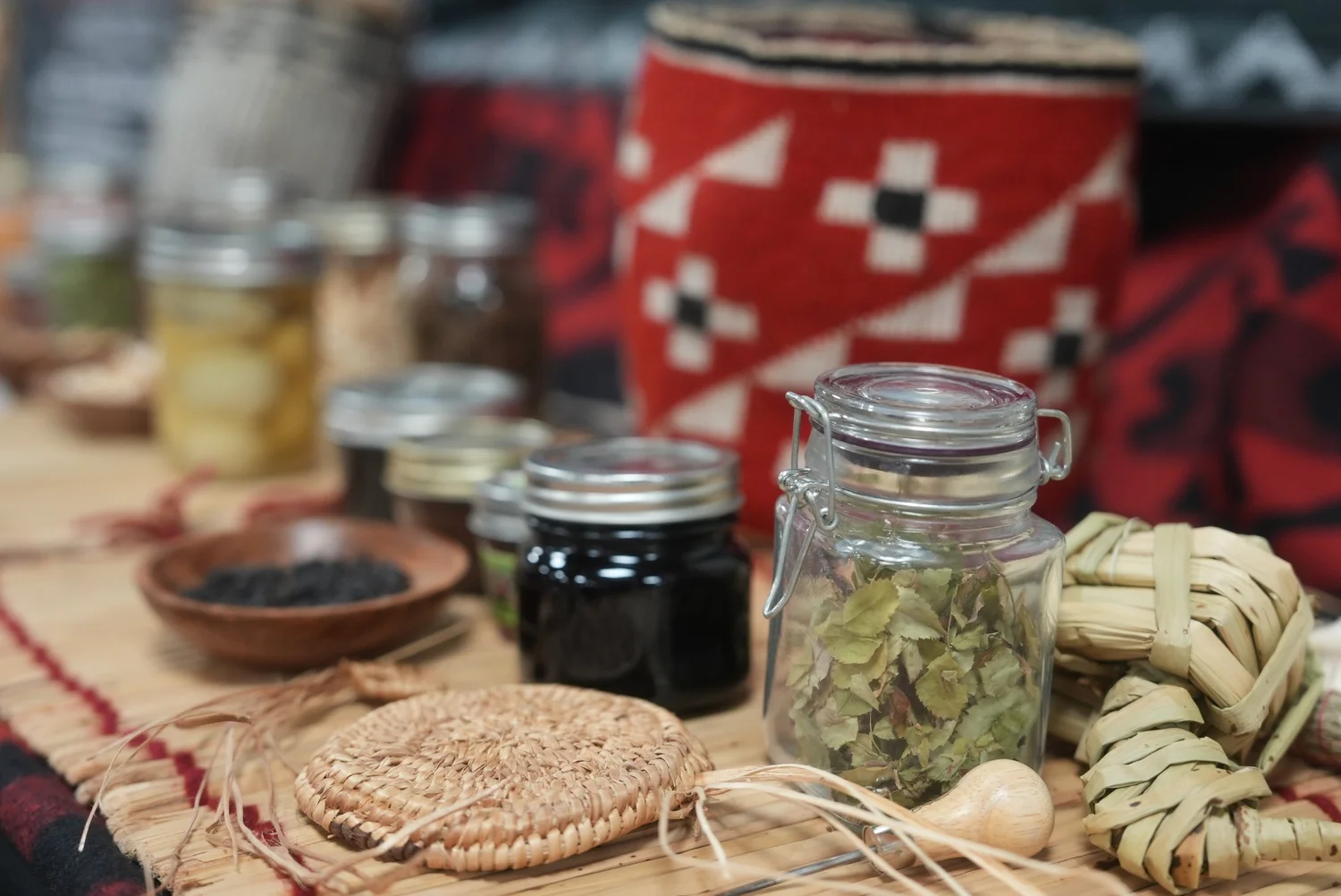 Funding Opportunities for Indigenous Food Initiatives | Native Grown ...