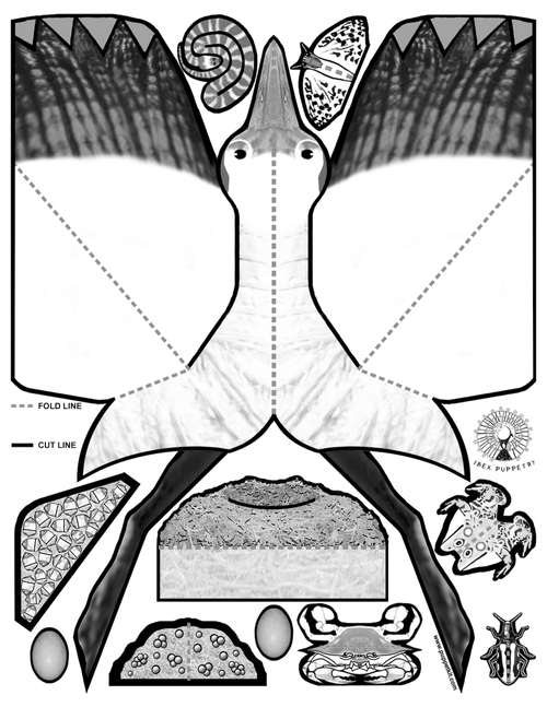 Education Resources — Ajijaak