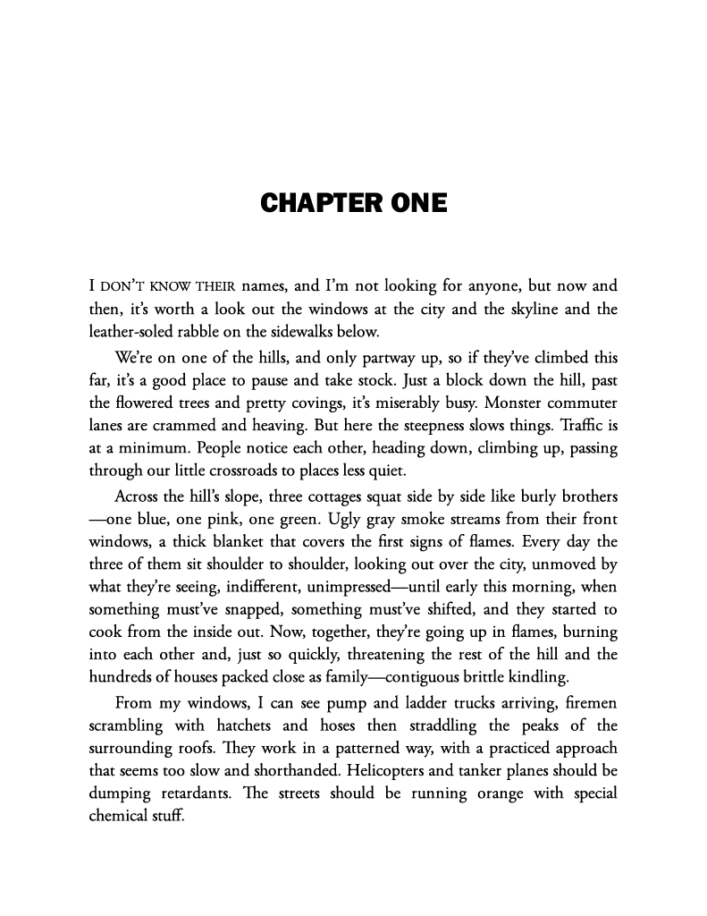 Five Windows by Jon Roemer — Dzanc Books