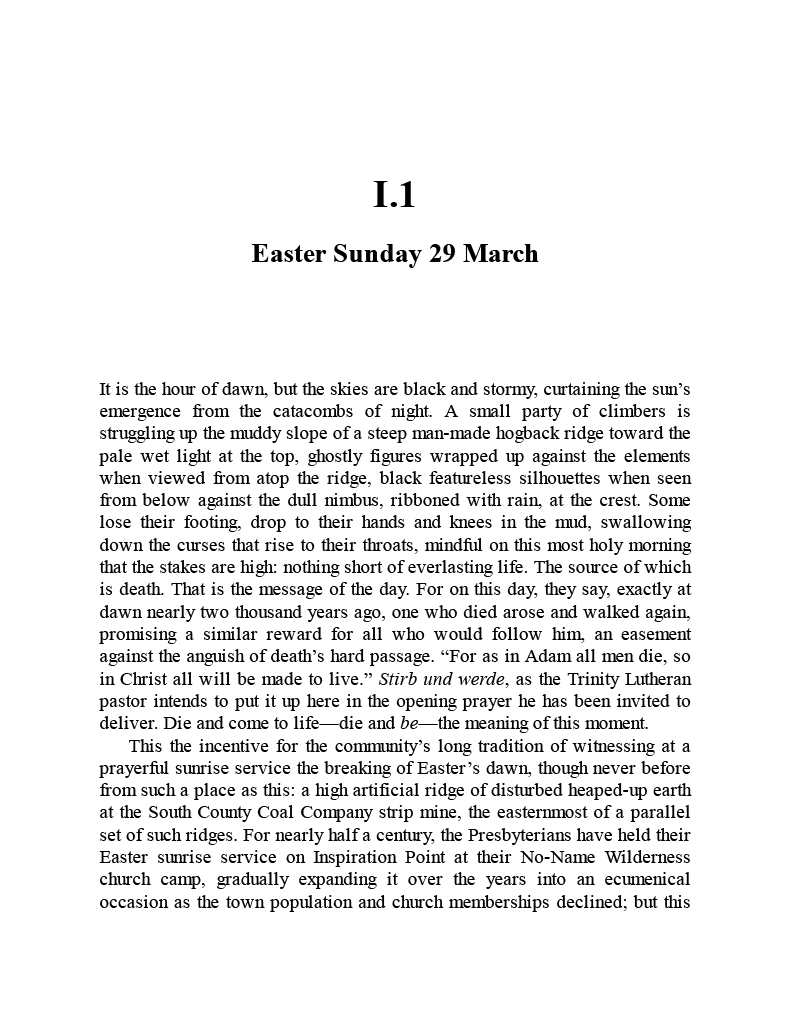 The Brunist Day of Wrath by Robert Coover — Dzanc Books