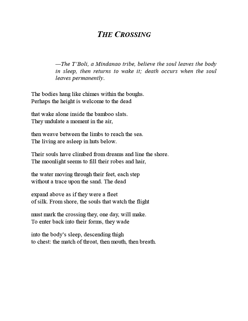 The Crossing by Jonathan Fink eBook — Dzanc Books