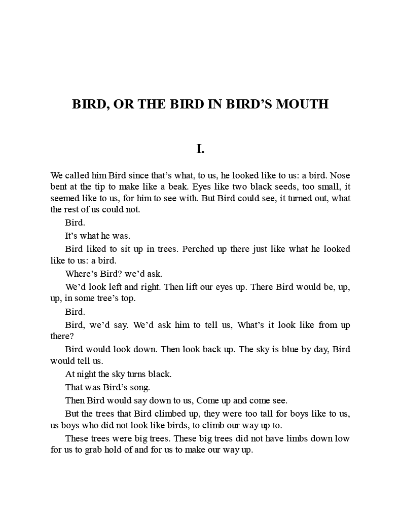 The Fish and the Not Fish by Peter Markus — Dzanc Books