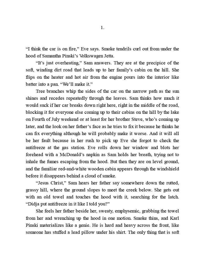 The Summer She Was Under Water by Jen Michalski eBook — Dzanc Books