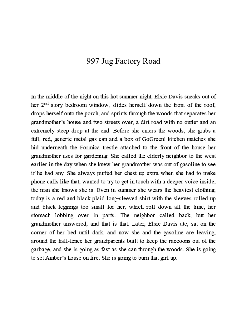 The Arson People by Katie Jean Shinkle eBook — Dzanc Books