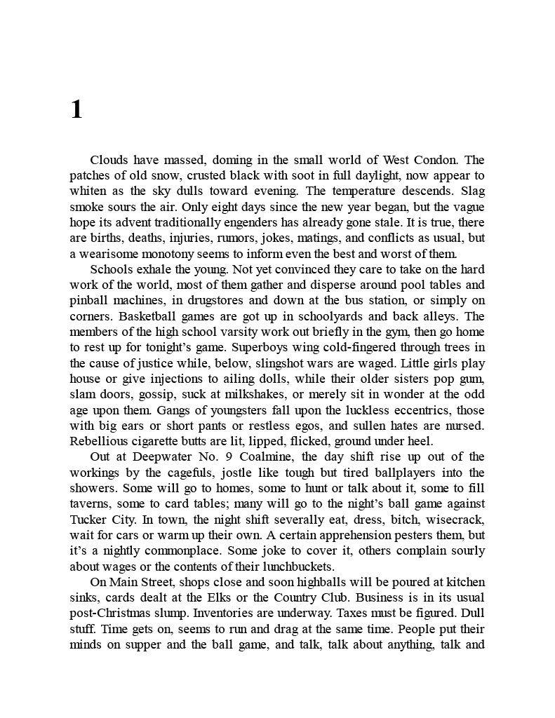 The Public Burning by Robert Coover eBook — Dzanc Books