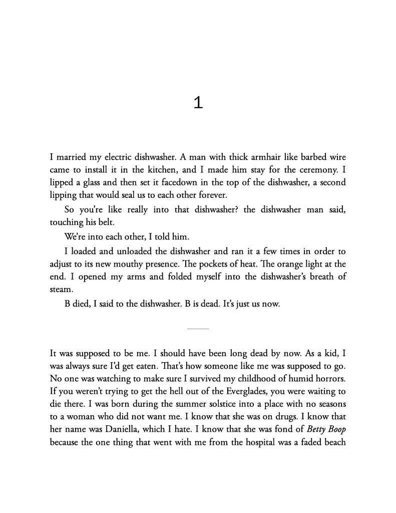 And Then the Gray Heaven by R.E. Katz — Dzanc Books
