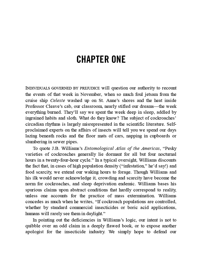 The Middle Daughter by Chika Unigwe eBook — Dzanc Books