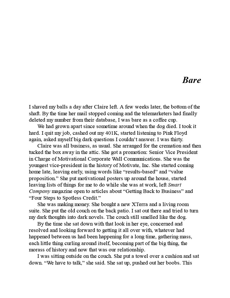 Ryan Seacrest is Famous by Dave Housley eBook — Dzanc Books