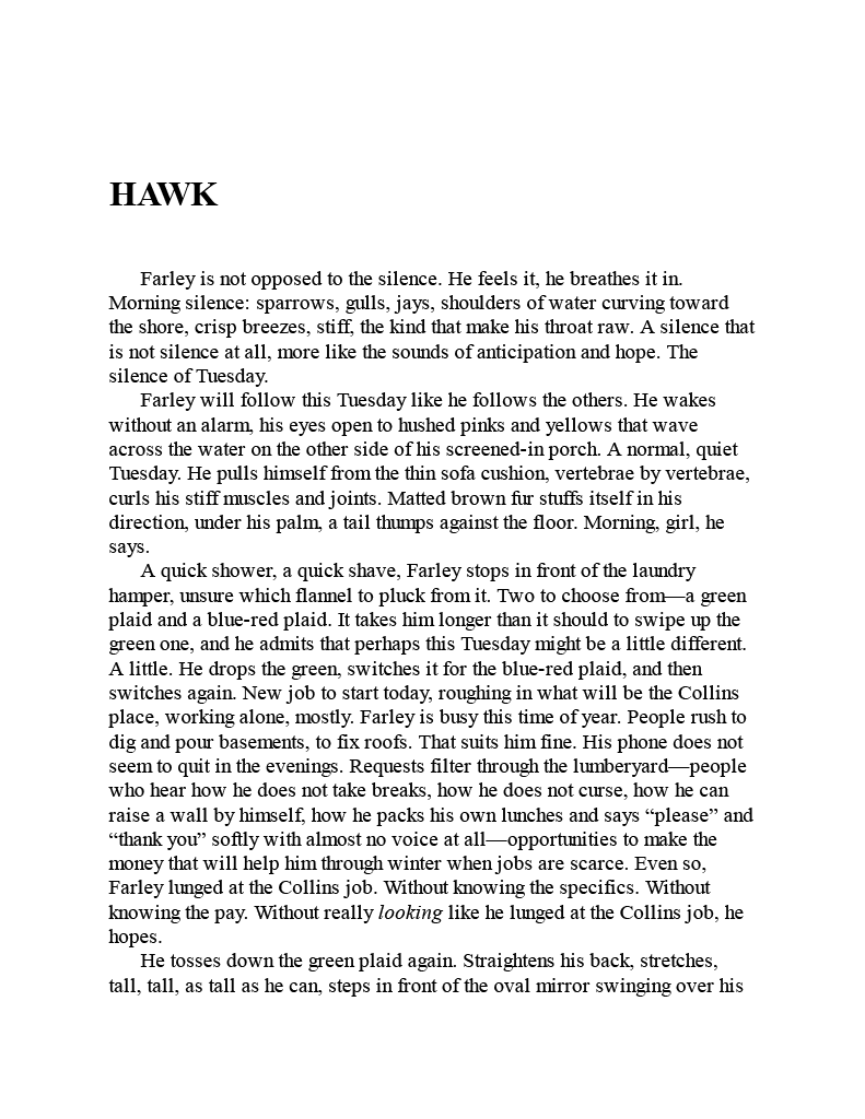 How to Fly by Rachael Perry eBook — Dzanc Books