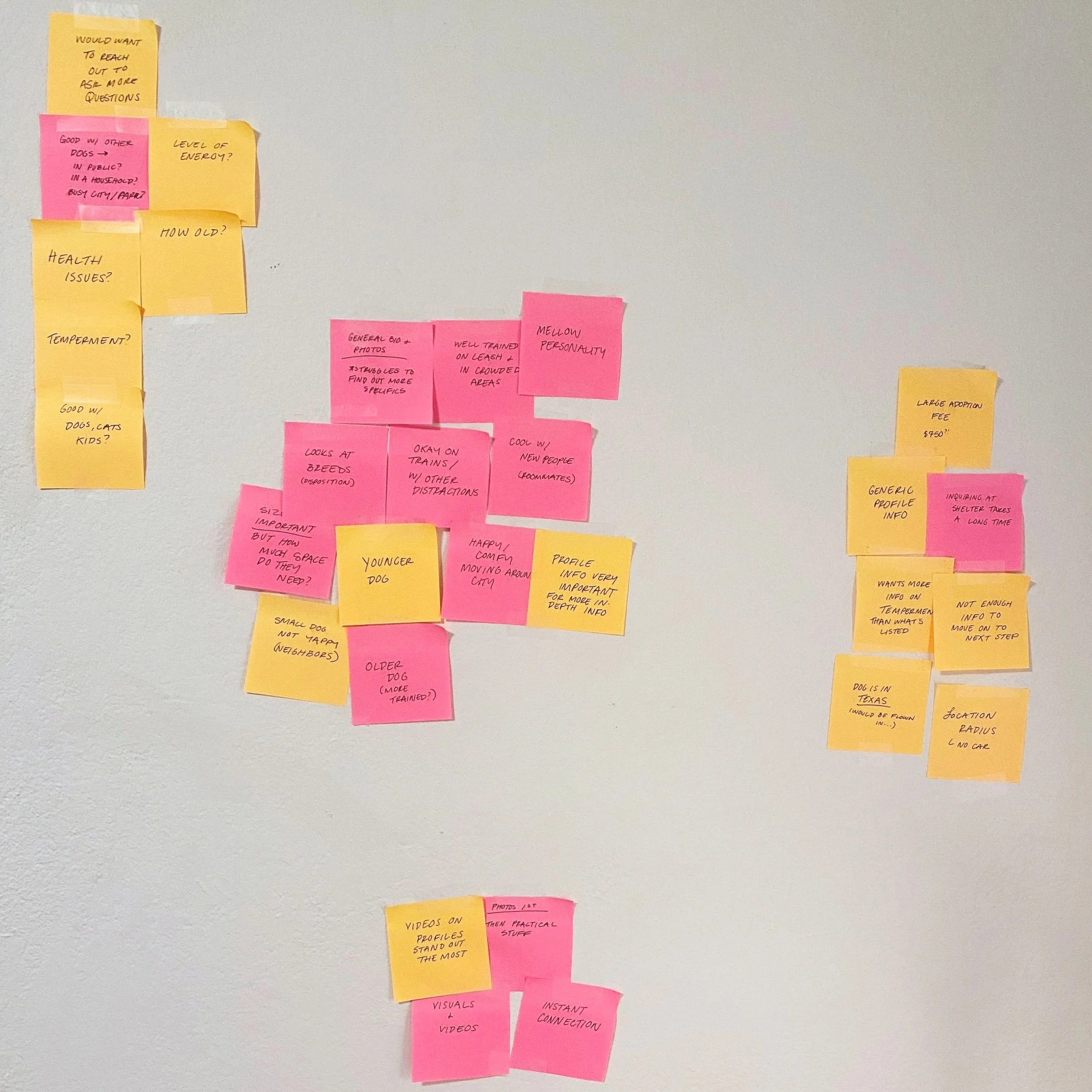 CityPups — Madeline Goss | Designer