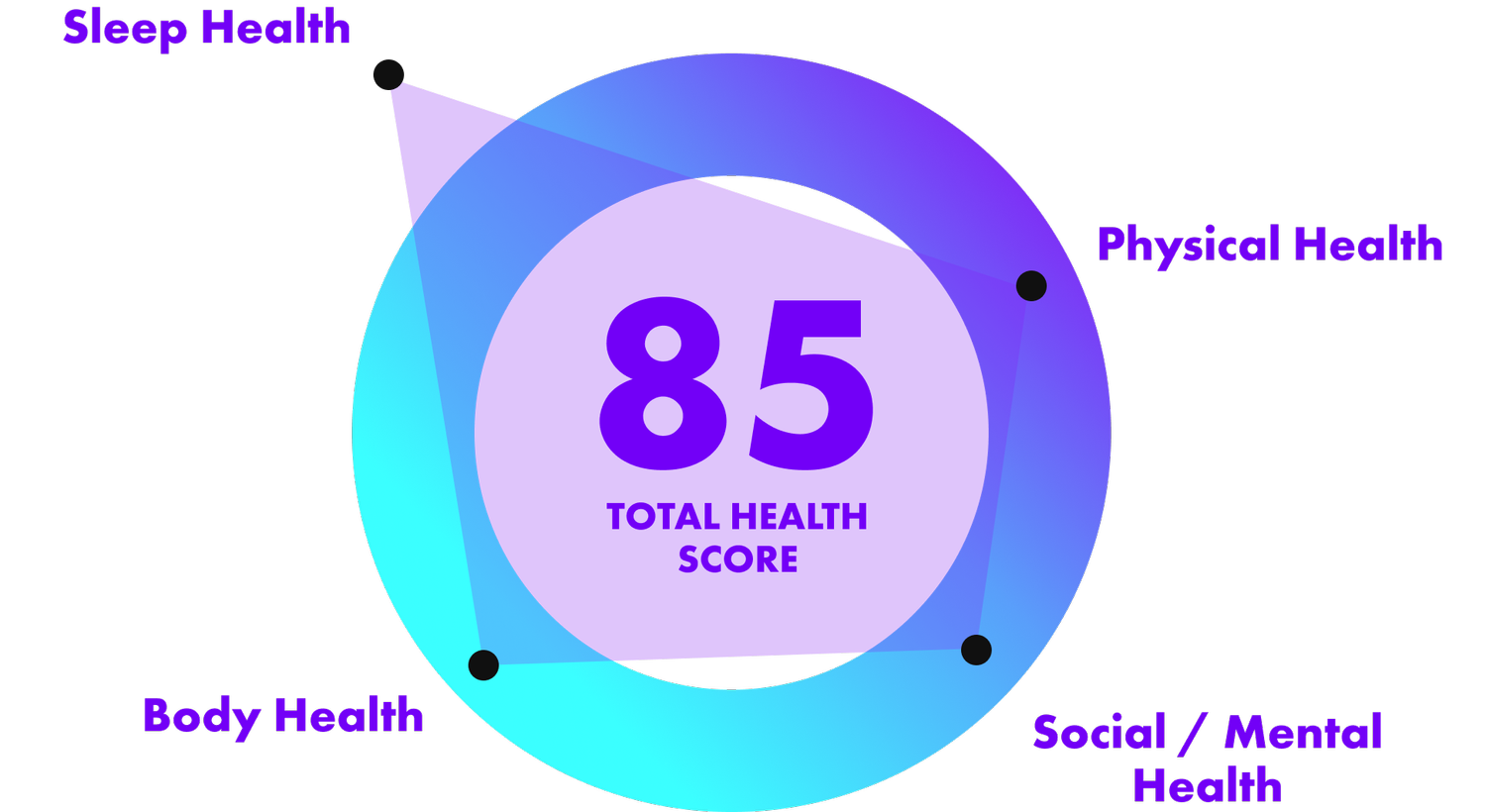 ROOK | An API for Wearable and Health Data Integration