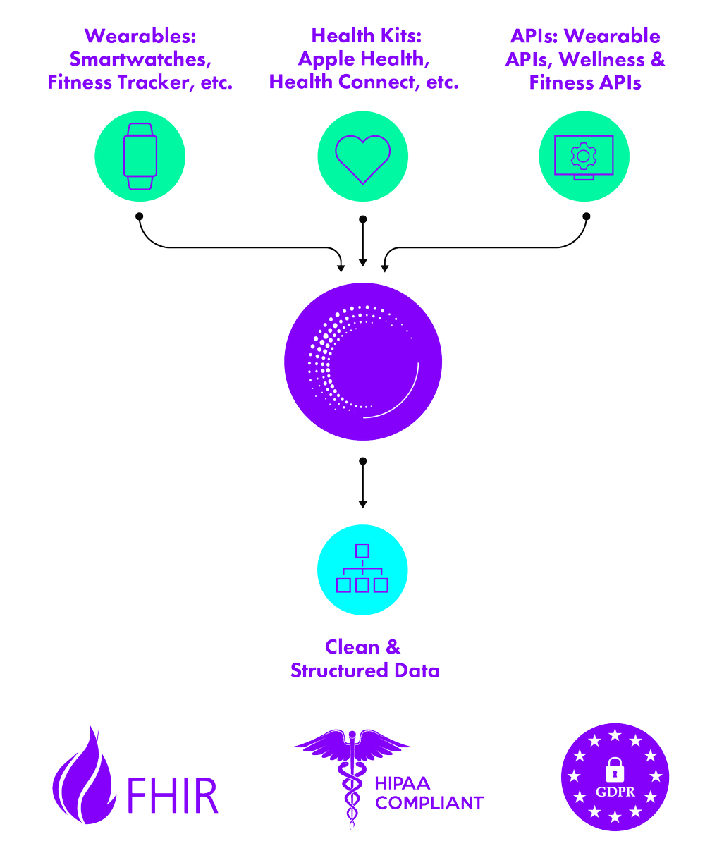 ROOK | An API for Wearable and Health Data Integration