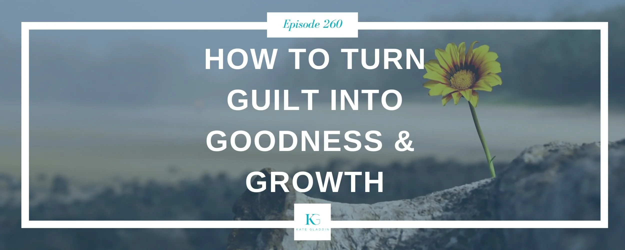260 | Using Guilt for Good — Kate Gladdin • Teen Resilience Expert ...