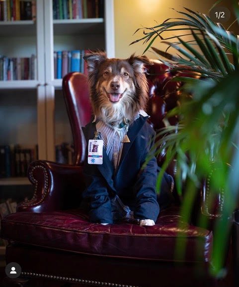 Code-4 Counseling — Our Team