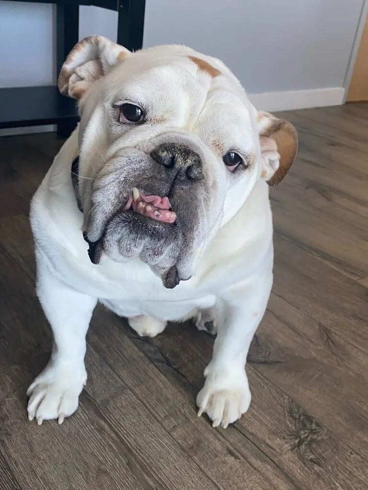 Code-4 Counseling — Our Team