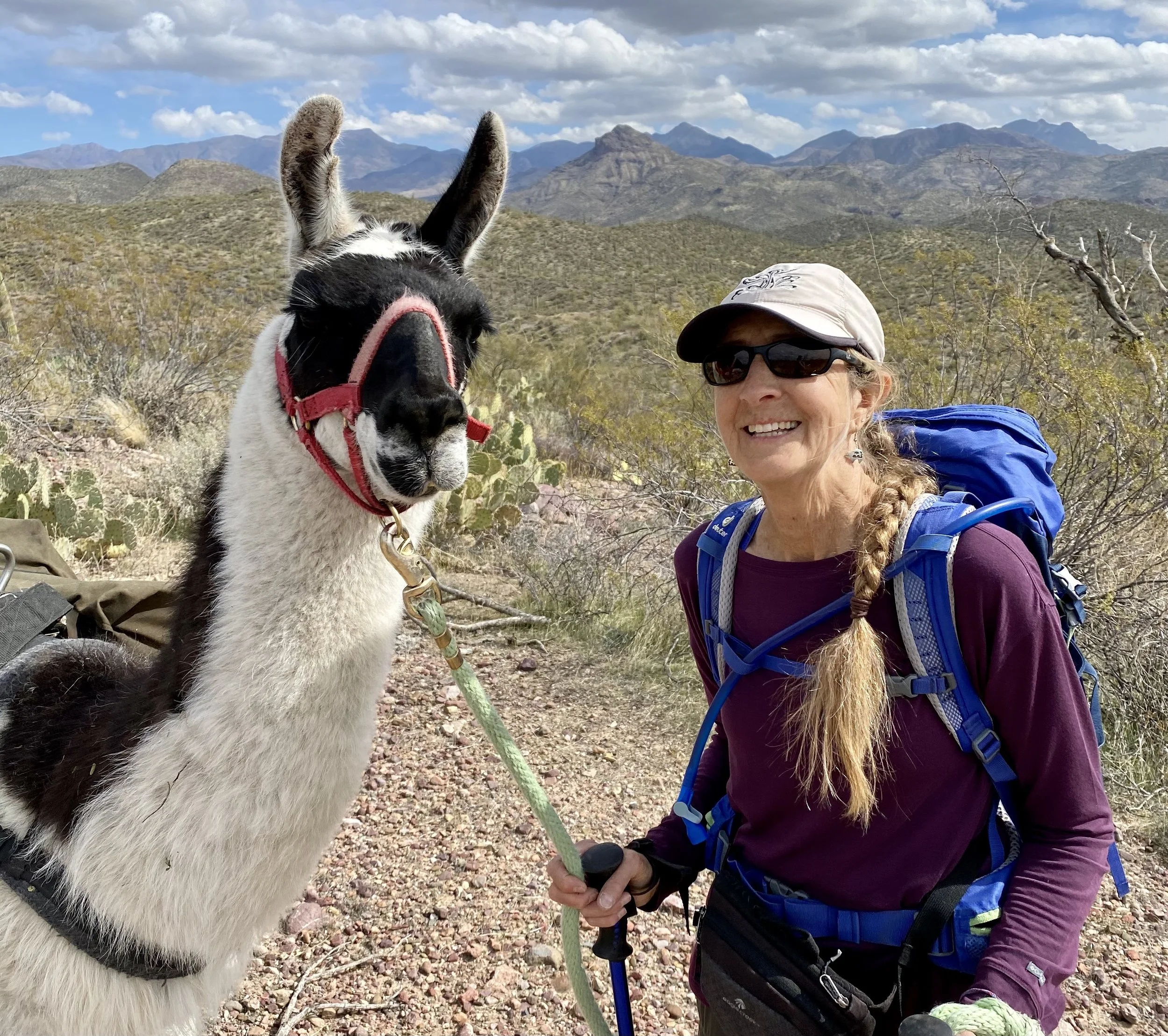 About — Arizona Backcountry Llamas